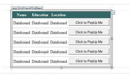 Show Gridview Data in Popup Using RowData Bound in ASP.Net