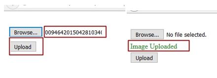Save Images In A Folder In ASP.NET Using FileUpload Control