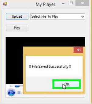 Playing Audio and Video File in Windows Form Application