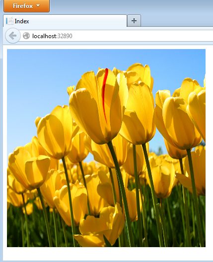 Auto Refresh Partial View in ASP.Net Web API Auto Refresh Partial View in ASP.Net Web API