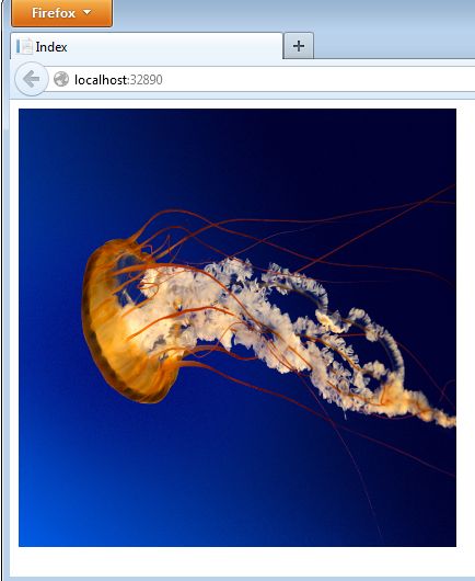 Auto Refresh Partial View in ASP.Net Web API Auto Refresh Partial View in ASP.Net Web API