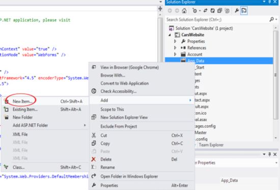 CarsPortal 1: Connecting To SQL Server Database in ASP.Net