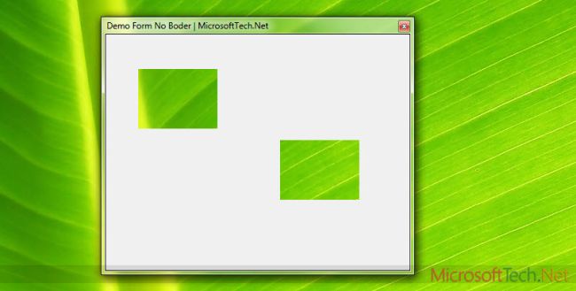 Border Handling Procedure in Windows Forms Programming
