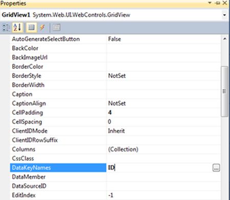 EmptyDataTemplate, EditItemTemplate and Others in a Gridview of ASP.Net