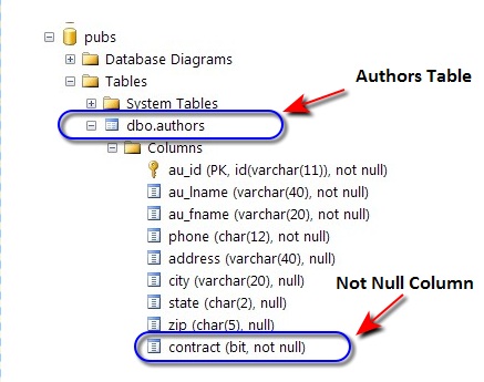 SQL Server Transaction Types