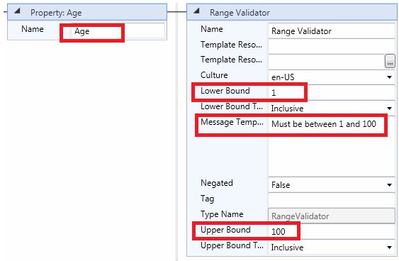 Validation Application Block Enterprise Library 50