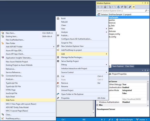 Learn About Datagrid And Gridview In Aspnet