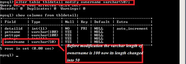 MySQL Statements By Using the Command Prompt