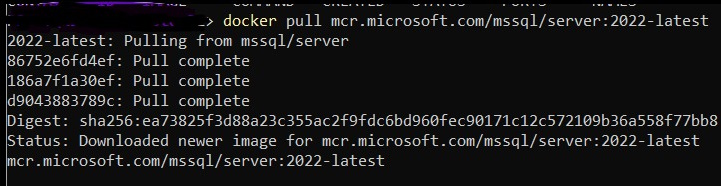 How To Use A Containerized Sql Database Server Locally Using Docker
