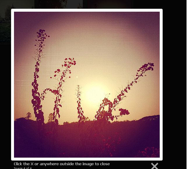 Adding the Light Box Effect in ASP.NET using JQuery