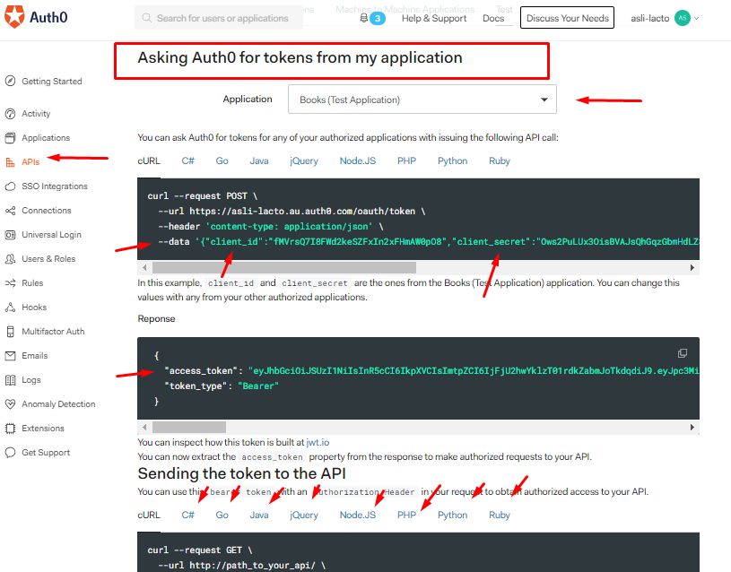 Identity Provider for API Security Mechanism