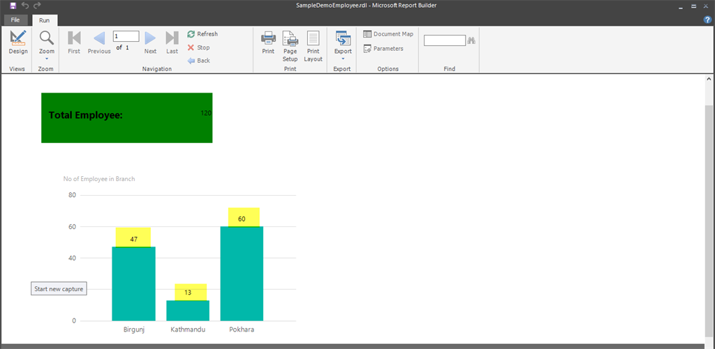 Build A SSRS (RDL) Report From Microsoft Report Builder - Part Two