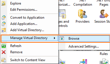 IIS Physical Path VS Virtual Path