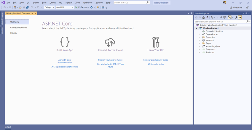 Create ASP.NET Project With .NET 5.0 And Structure