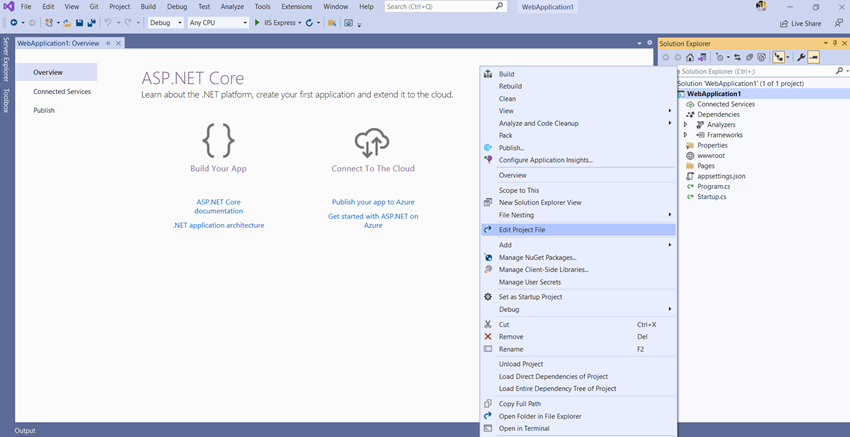 Create ASP.NET Project With .NET 5.0 And Structure