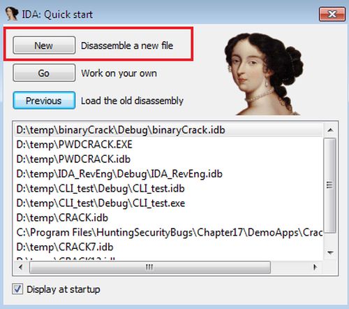 Applied Reverse Engineering With IDA Pro
