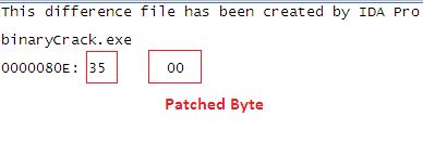 Binary Cracking and Byte Patching With IDA Pro