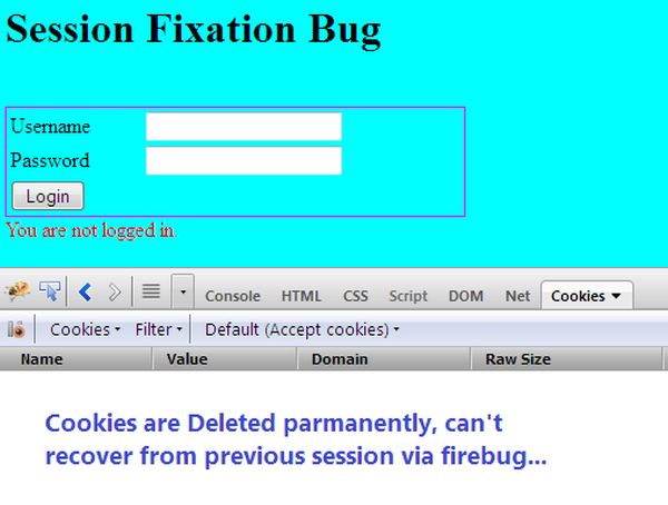 Session Fixation Vulnerability Detection in ASP.Net
