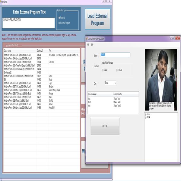 Read External Program Text Using VB.Net