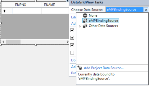 DataGridView Control in Visual Studio