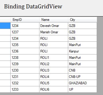 Ways to Bind DataGridView in C# Windows Forms