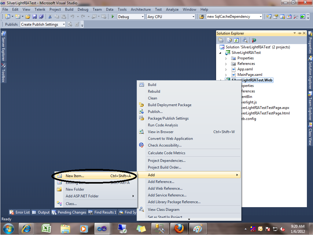 Silverlight Application With RIA Service