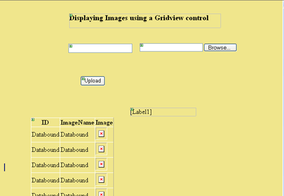 Display Images In The Grid View Control