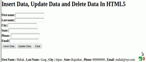 Insert, Update and Delete Data in HTML5