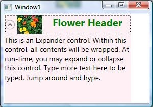 Working with WPF Expander Control using C# and XAML