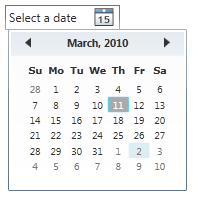 WPF DatePicker Using C#