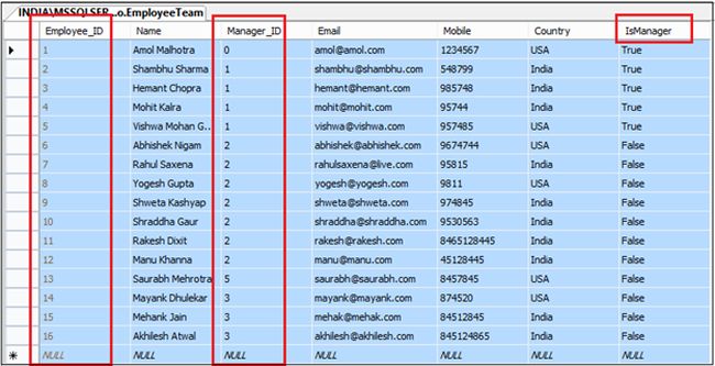 Fill ASP.Net GridView on Selecting Record From DropDownList