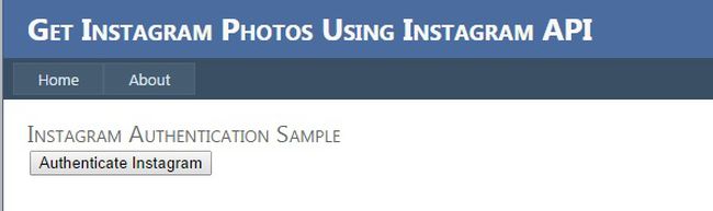 How to Authenticate and Get Data Using Instagram API