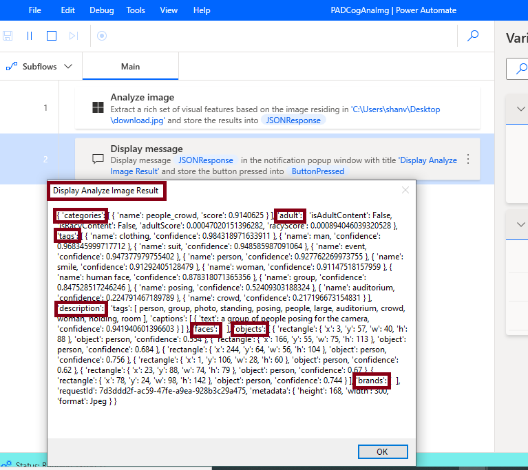 Analyze Image Action In Microsoft computer vision cognitive service With Desktop Flow Using ...