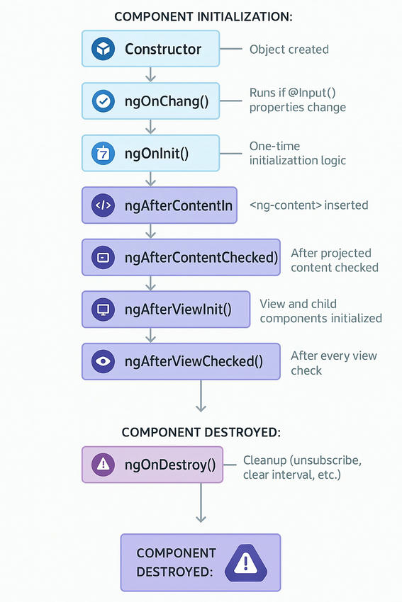 Understanding Angular Lifecycle Hooks