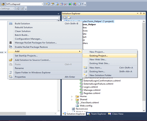 AngularJS Form Helper For ASP.NET MVC