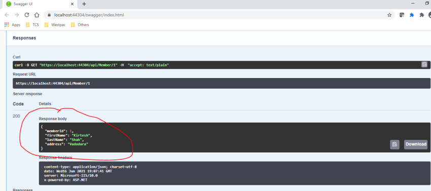 ASP.NET Core 5.0 Web API
