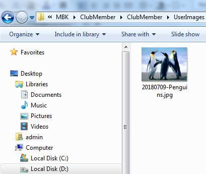 ASP.NET MVC Form With File Upload