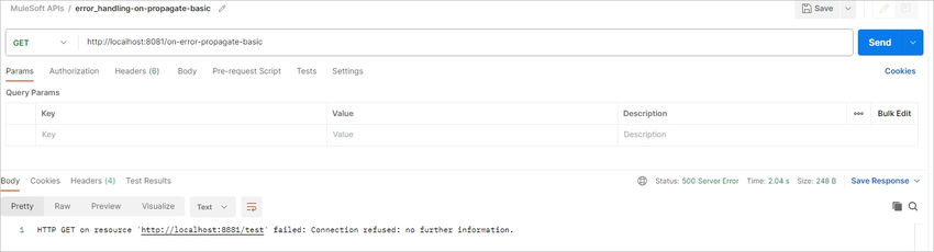 Basic Internal Error Handlers In Mule Application