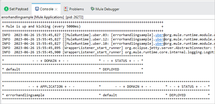 Basic Internal Error Handlers in Mule application