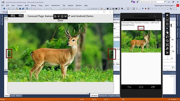CarouselPage In Xamarin.Forms Application For Android And UWP