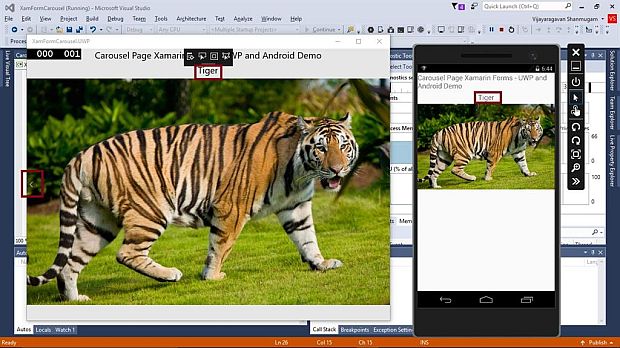 CarouselPage In Xamarin.Forms Application For Android And UWP