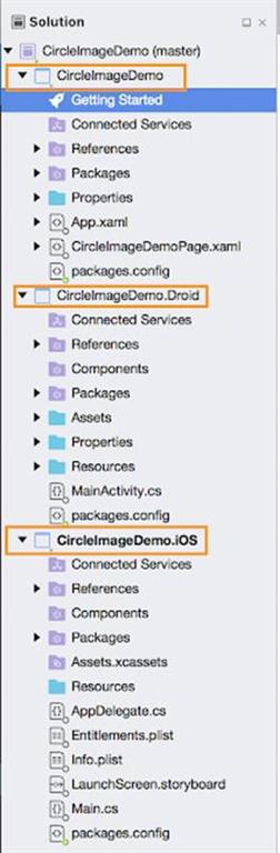 Circle Image In Xamarin.Forms