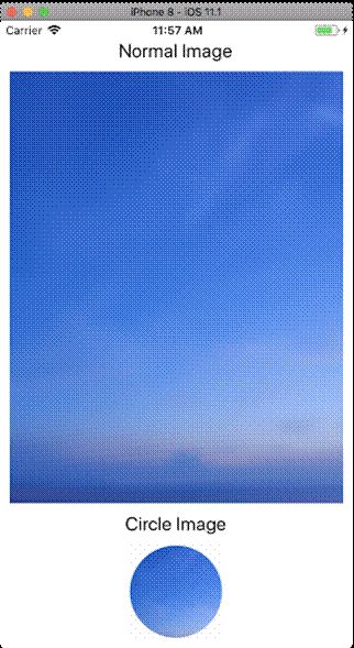 Circle Image In Xamarin.Forms