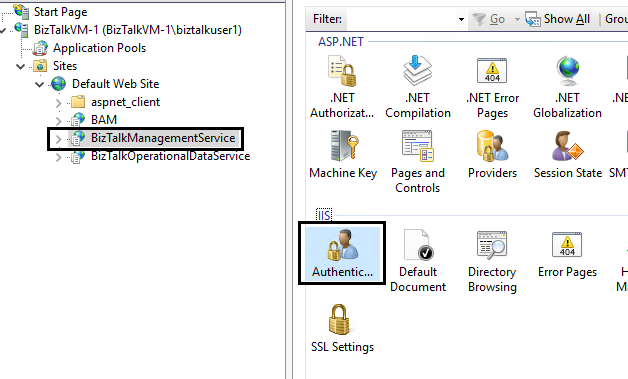 Configure And Use REST APIs In BizTalk Server 2020