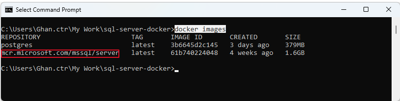 Container 3 Installing Sql Server Into Docker 
