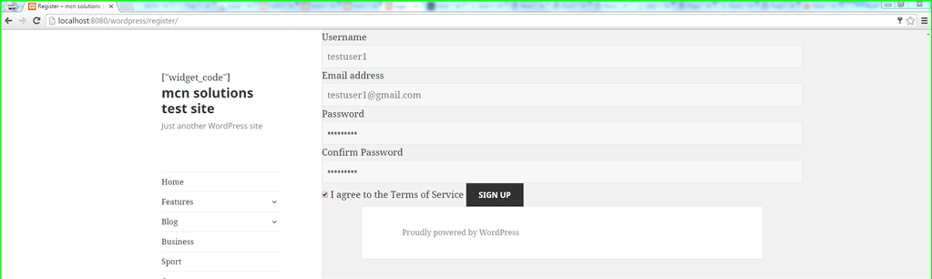 Create Custom Login And Register Without Using Plugin In Wordpress