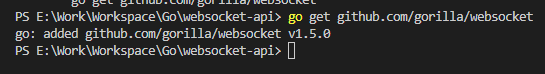 Create Websocket APIs in Golang