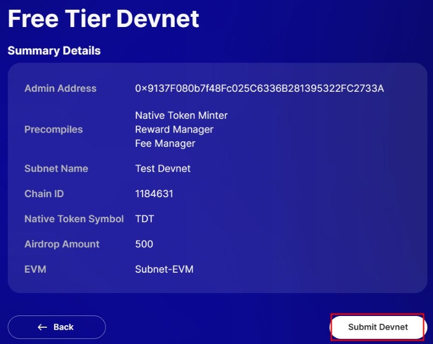 Create Your Own Blockchain Devnet Without Code Using Ava Cloud 2000