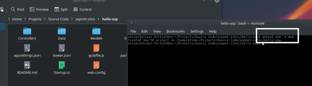 Creating And Hosting ASP.NET Core Application On Linux