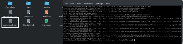 Creating And Hosting ASP.NET Core Application On Linux